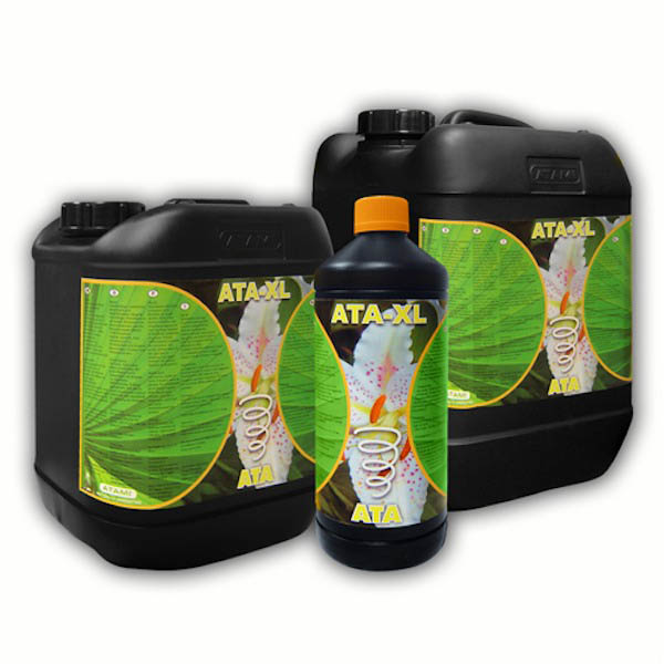 ATA XL - ATAMI | Backgarden.es